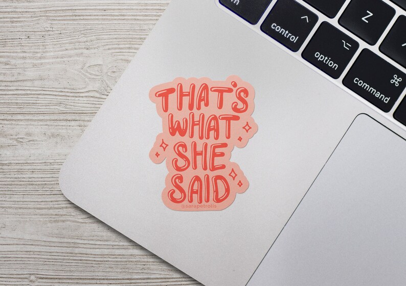 Thats What She Said Sticker, the Office Stickers Waterproof, the Office ...
