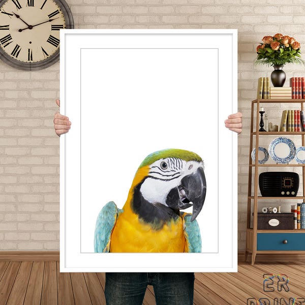 Parrot Poster - Etsy