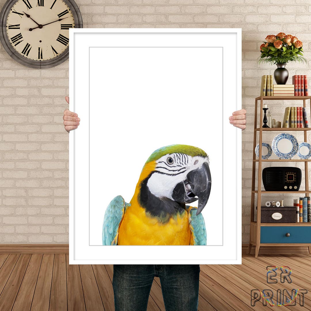 Parrot Print Macaw Print Parrot Wall Art Bird Print Parrot - Etsy