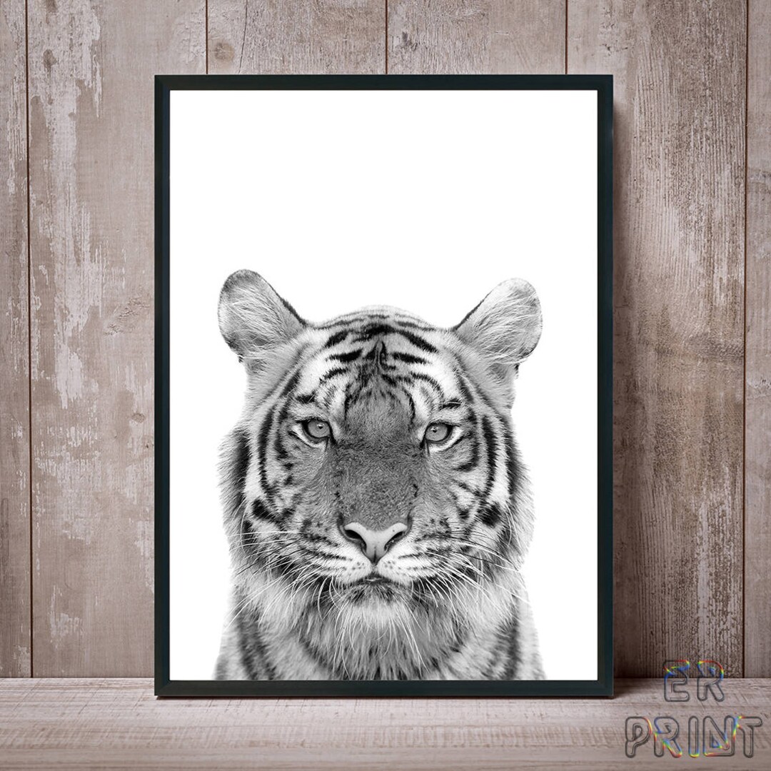 Tiger Print, Tiger Black White, Safari Prints, African Animal, Tiger ...