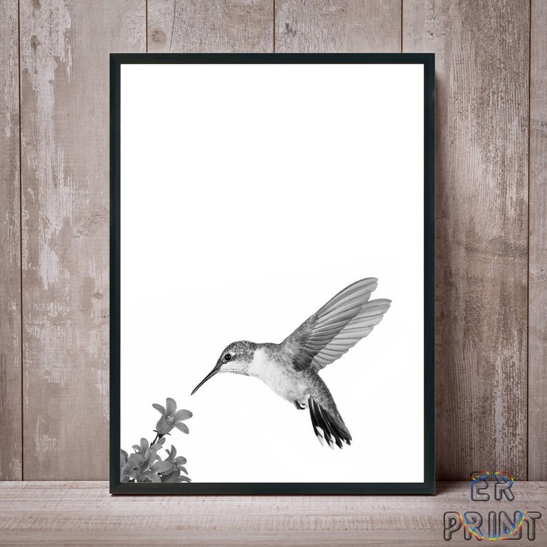Hummingbird Print Hummingbird Bird Print Bird Art | Etsy