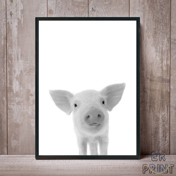 Pig Print Piggy Print Farm Animal Print Pig Black and - Etsy