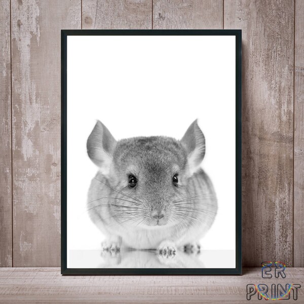 Chinchilla Art - Etsy