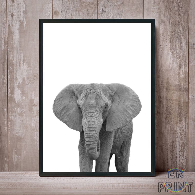 Elephant Prints - Etsy