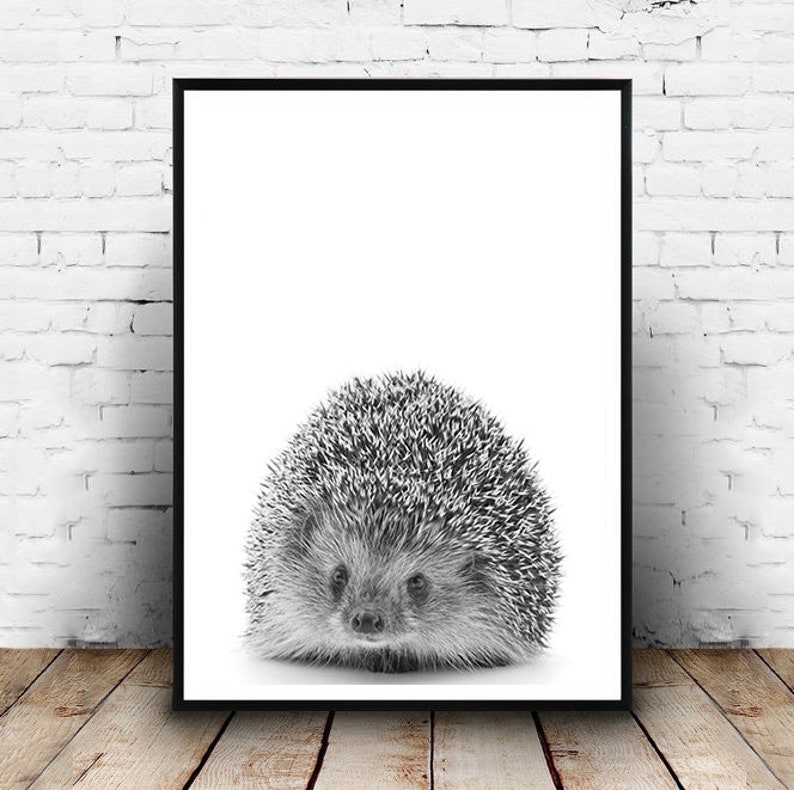 Hedgehog Print, Hedgehog Art, Hedgehog Wall Art, Nursery Print, Black ...