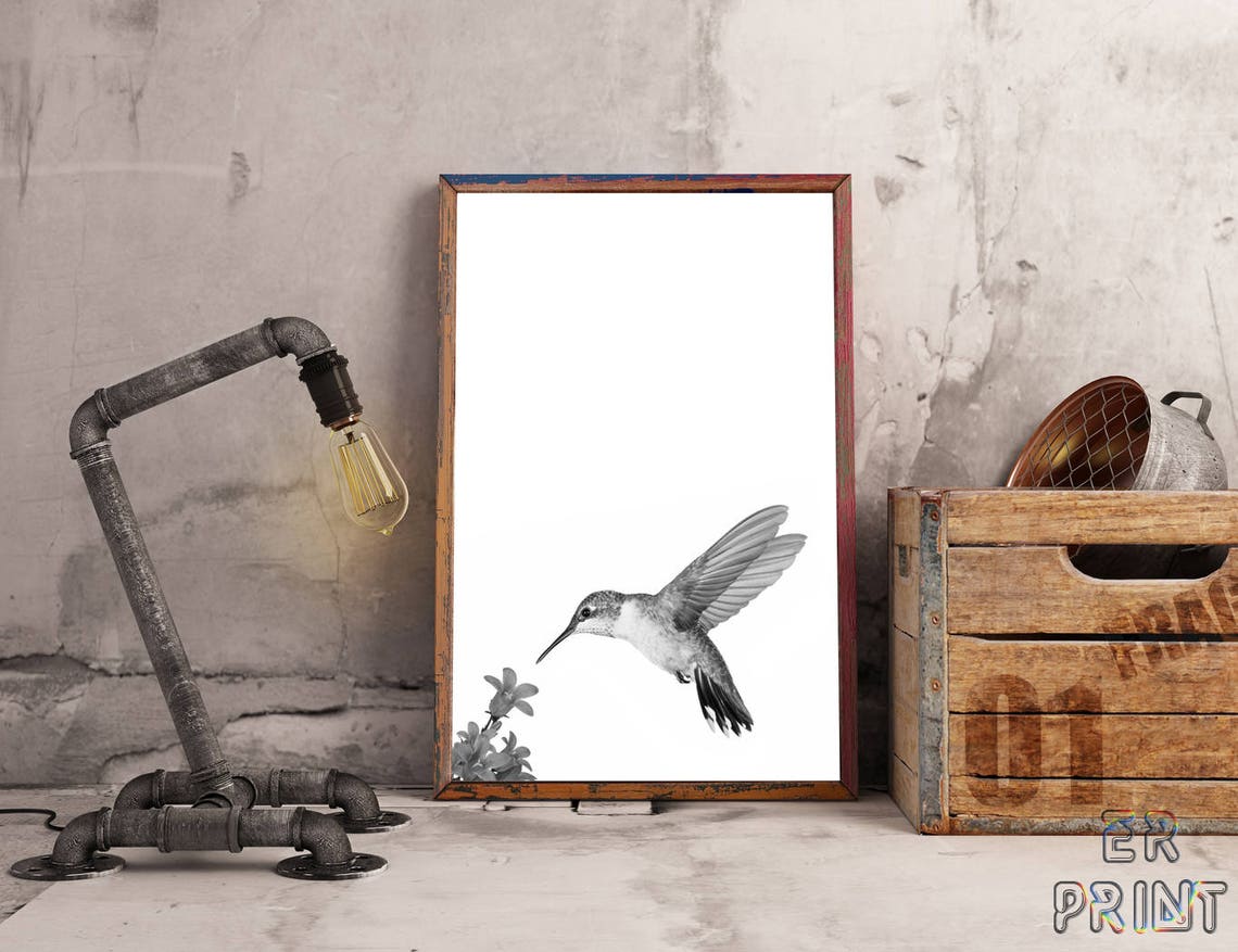 Hummingbird Print Hummingbird Bird Print Bird Art | Etsy