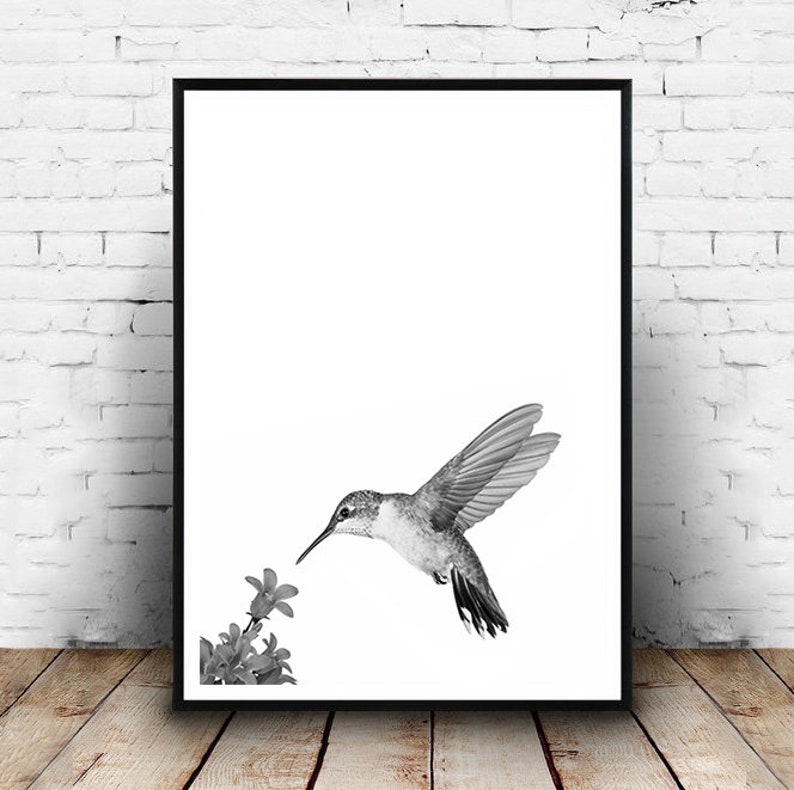Hummingbird Print Hummingbird Bird Print Bird Art | Etsy