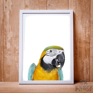 Parrot Print Macaw Print Parrot Wall Art Bird Print Parrot - Etsy