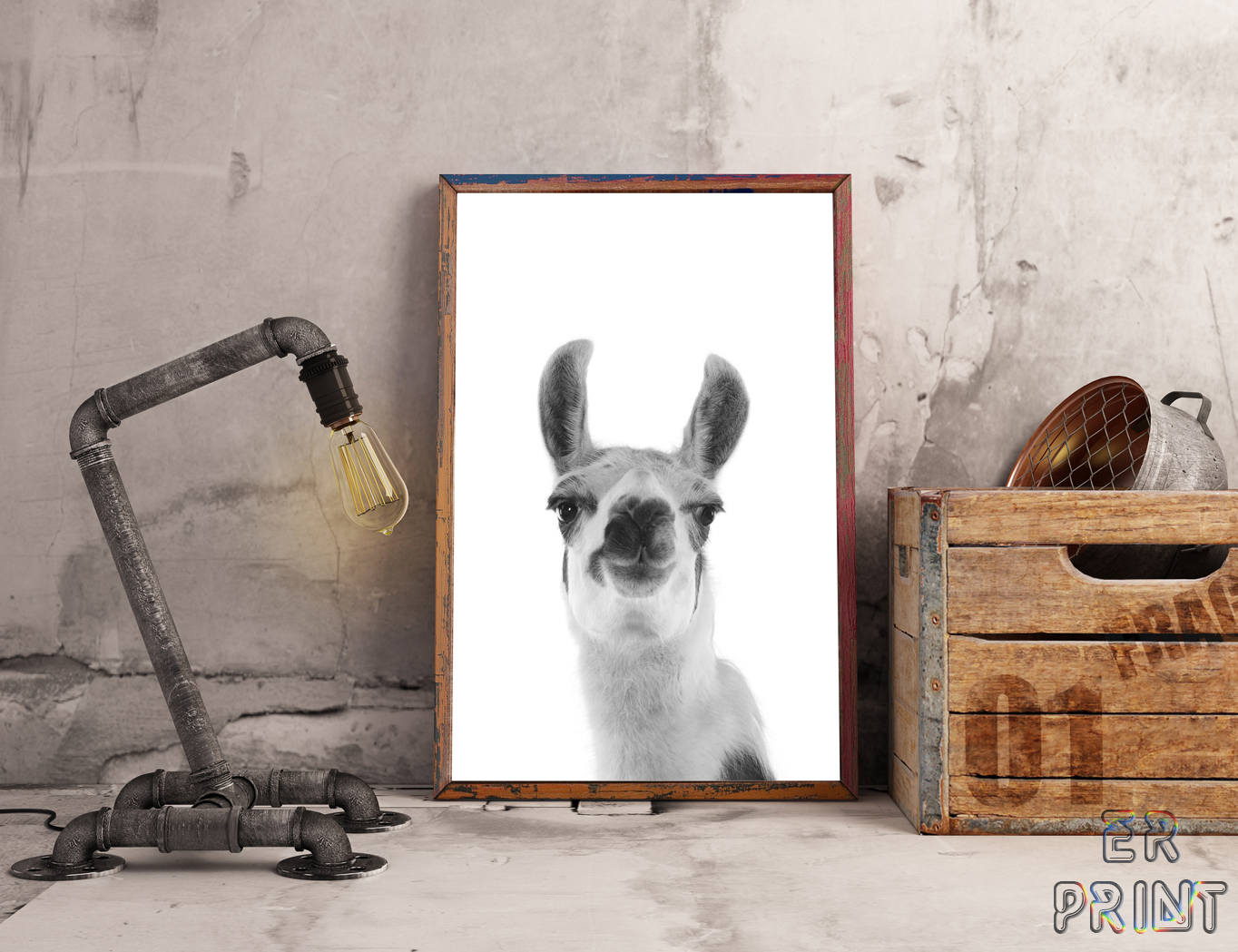 Llama Print Alpaca Print Llama Black and White Nursery | Etsy
