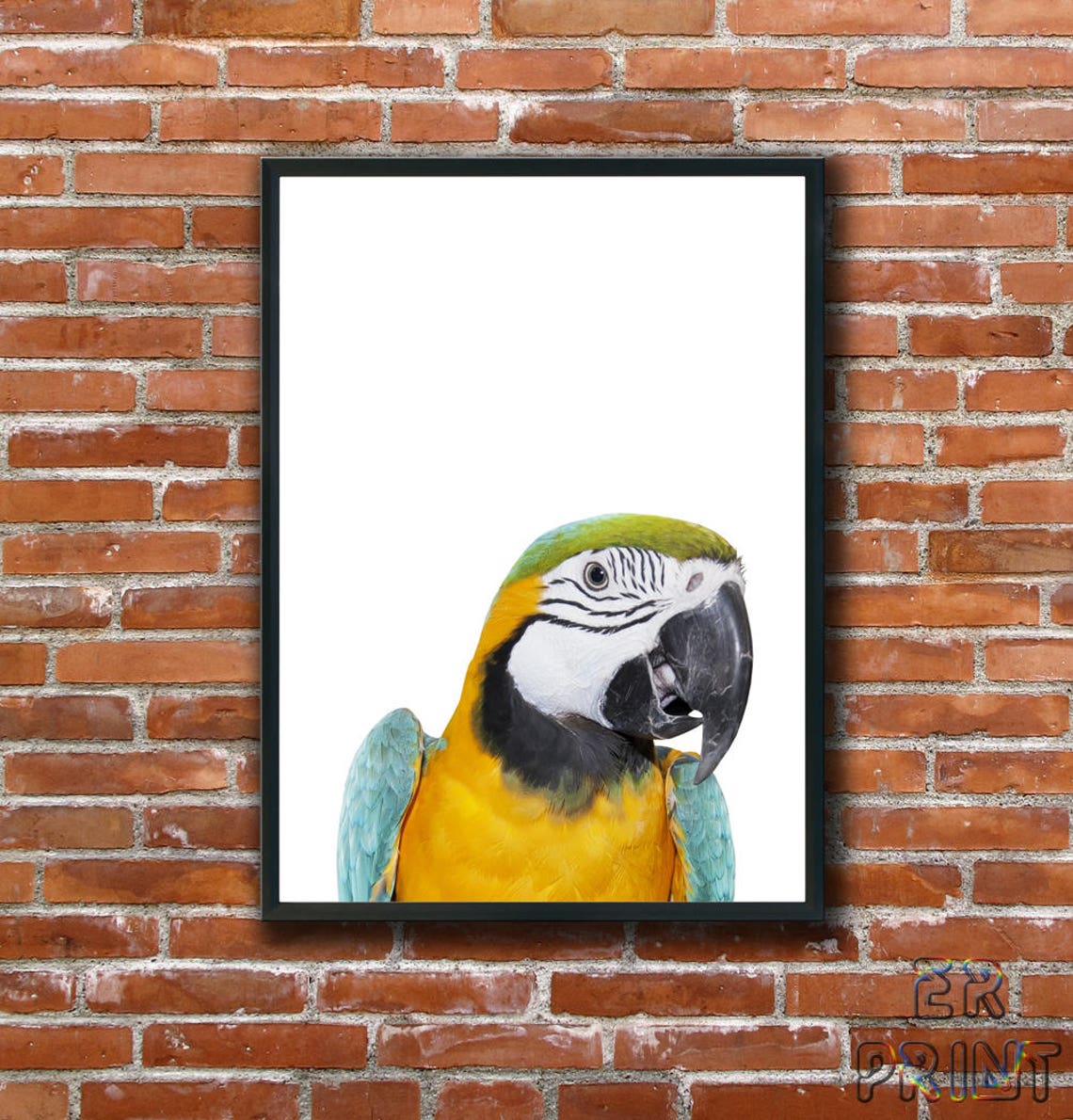 Parrot Print Macaw Print Parrot Wall Art Bird Print Parrot | Etsy