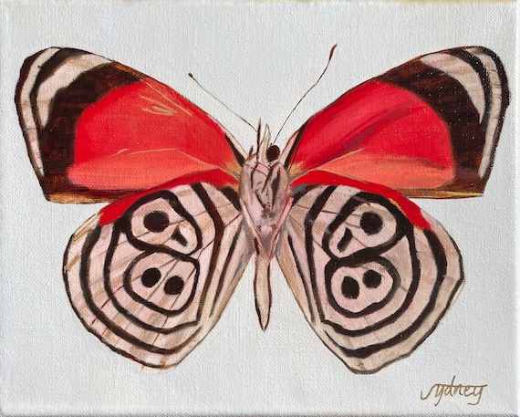 White Butterfly Oil Painting