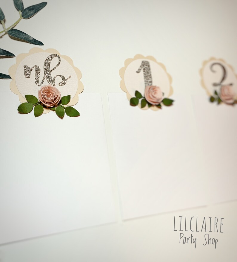 Monthly Photo Banner Milestone Photo Banner First Birthday - Etsy