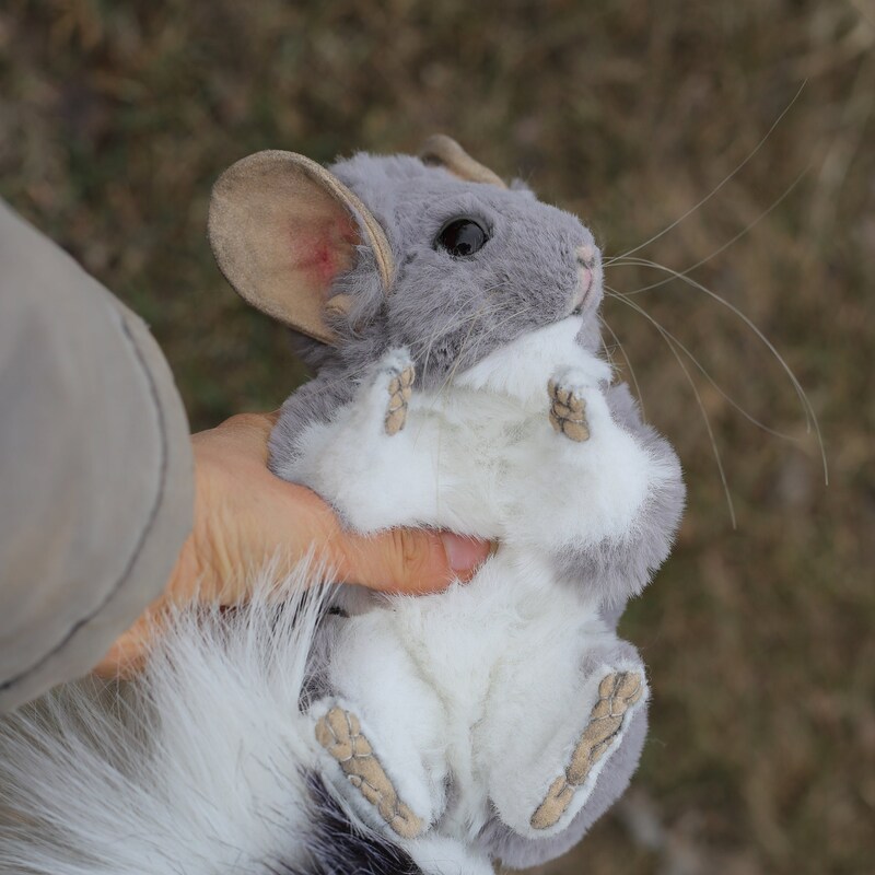 Chinchilla Toy - Etsy