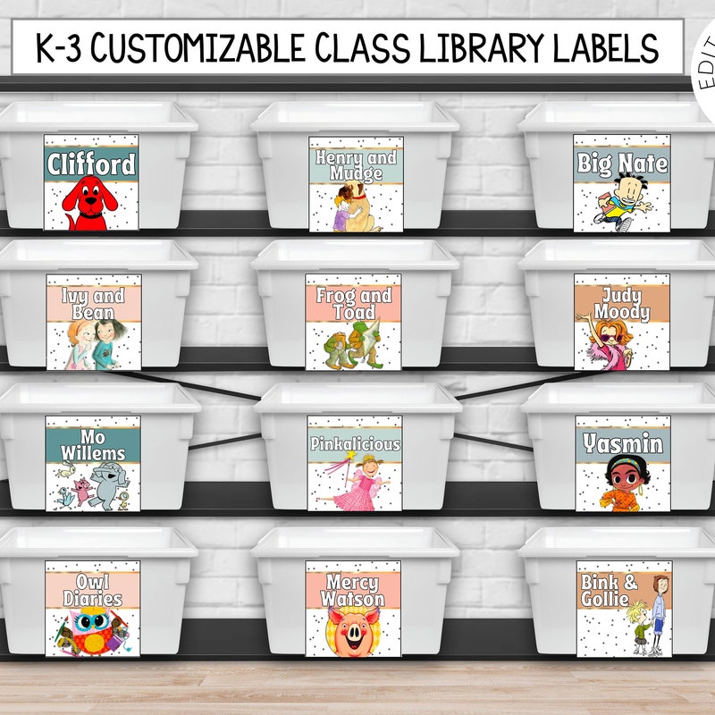 School Library Shelf Decor - Etsy