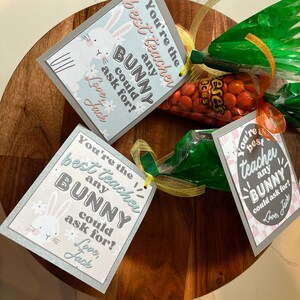 Editable Easter Teacher Gift Tag, Student Gift Tag, Bunny Gift Tag ...