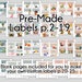 Customizable LIBRARY Book Bin Labels, Custom Book Labels, Elementary ...