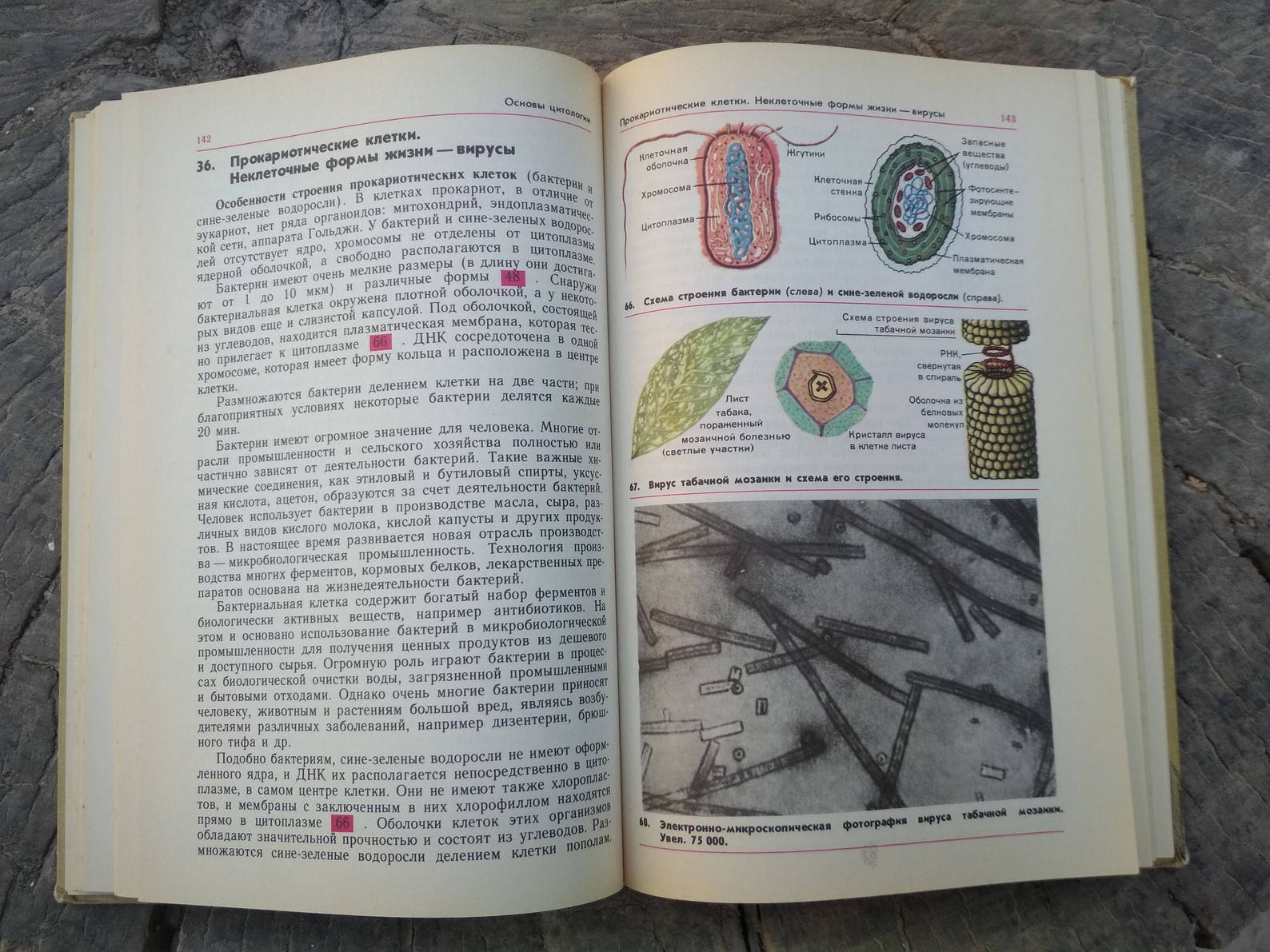 Textbook on General Biology for the 10-11 Grade of Secondary - Etsy