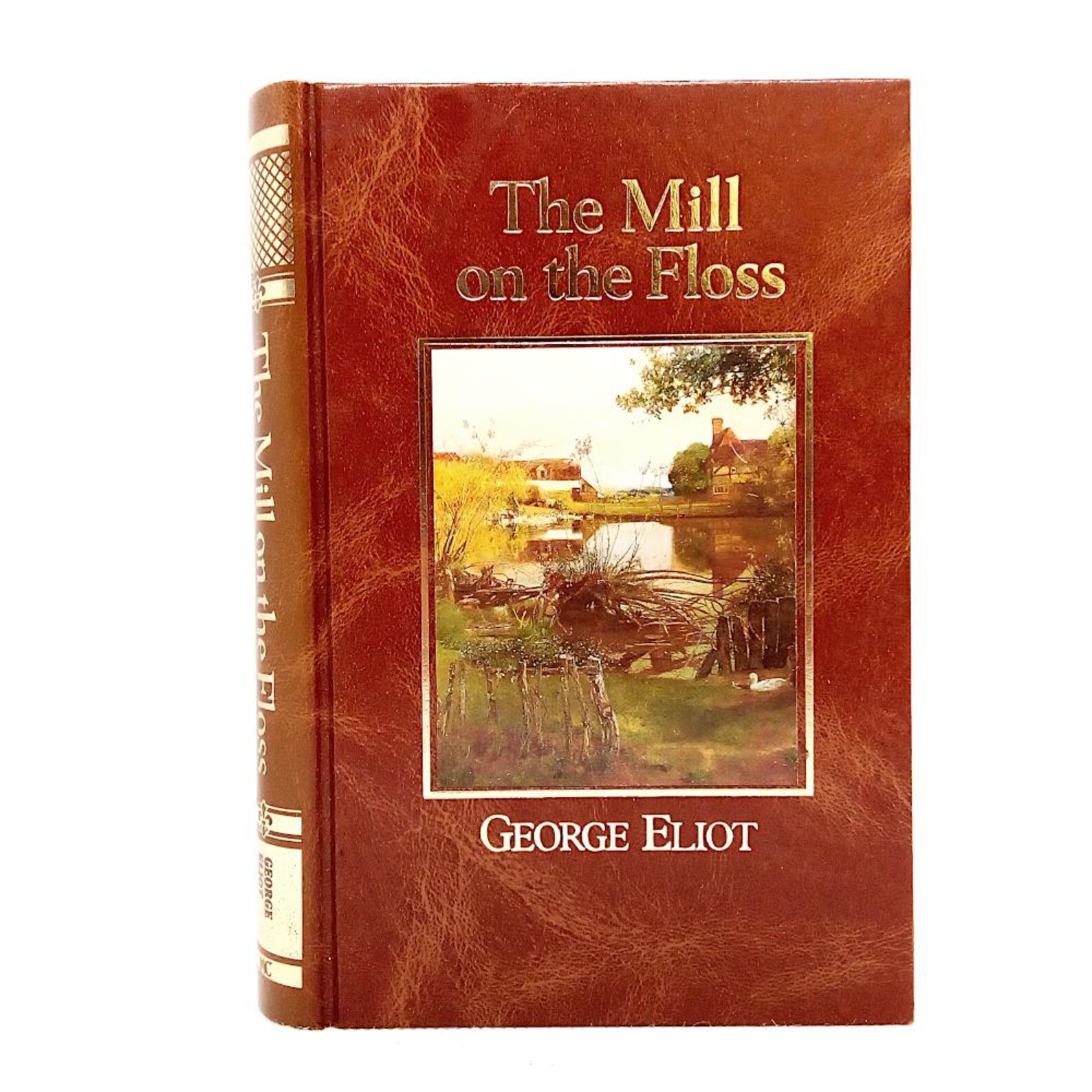 The Mill on the Floss by George Eliot, Classic Literature Book Gift ...