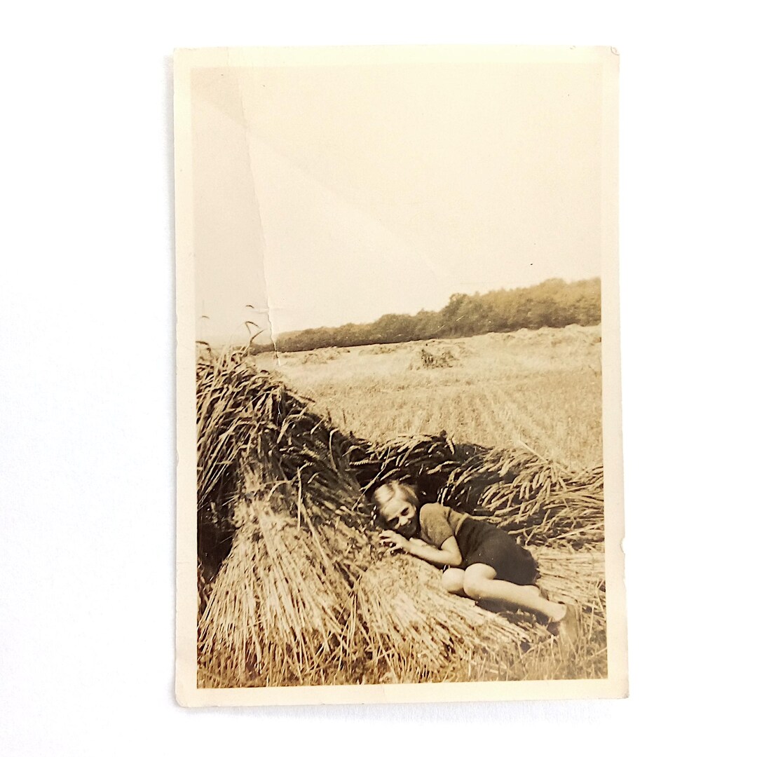 Girl in Wheatfield Vernacular Found Photograph From Ireland 1930s ...