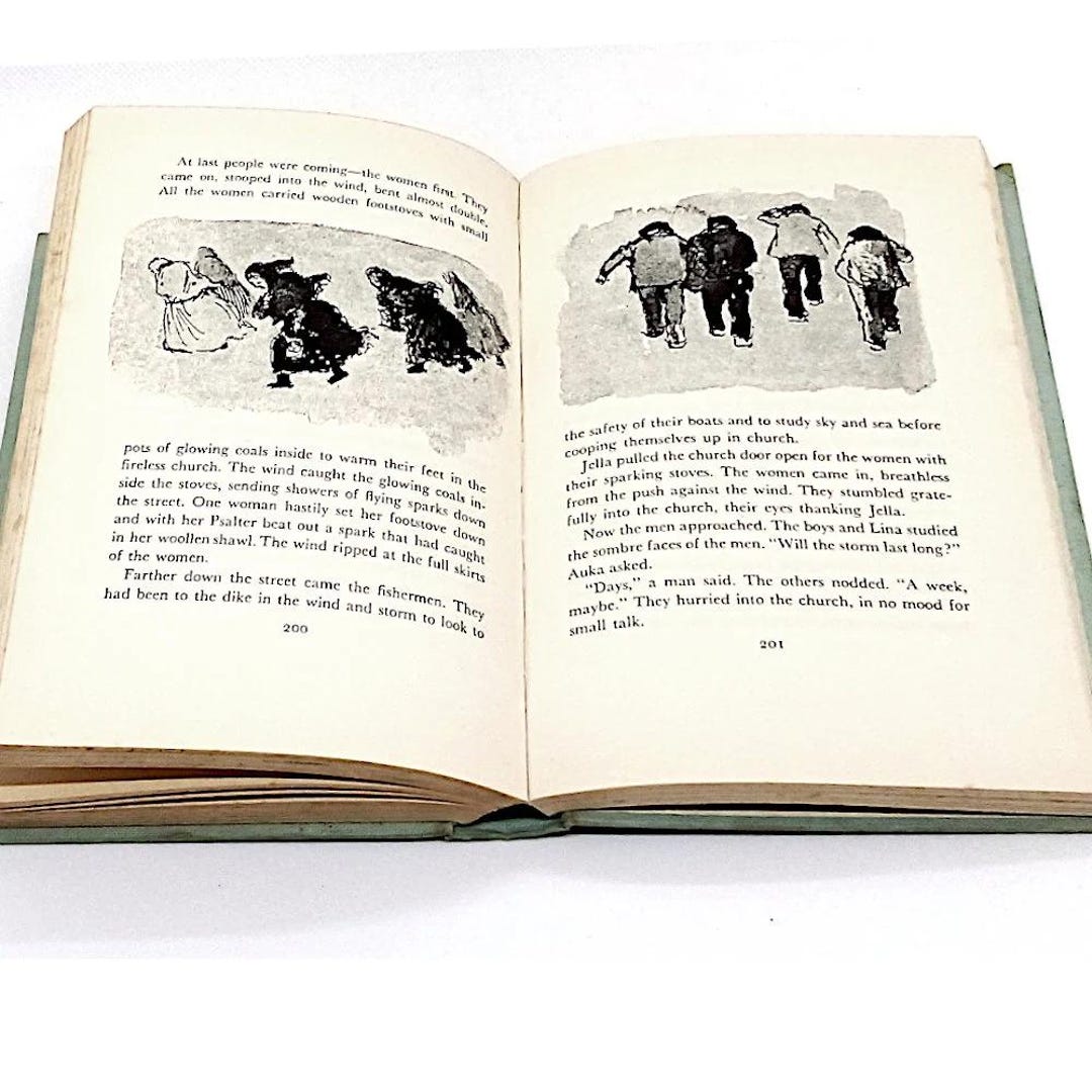 The Wheel on the School by Meindert Dejong Children's Literature ...