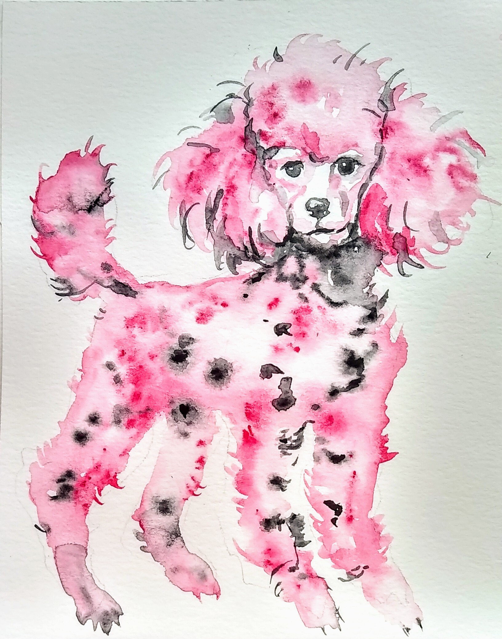 Dog Wall Art,standard Pink Poodle Painting,pet Lover Gift ,lucky Dog ...