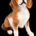 Sitting Beagle Ornament Garden Home Decor Statue Resin Dog H35x28cm ...