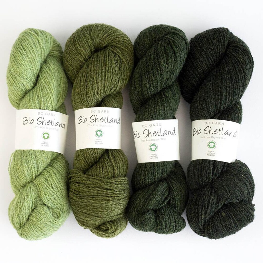 Bio SHETLAND GOTS Organic Wool by BC Garn 50 Grams 280 Meters (306 ...