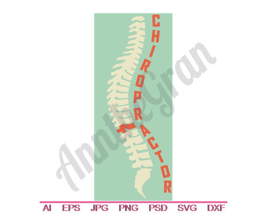 Chiropractor Svg Dxf Eps Png Jpg Vector Art Clipart Cut - Etsy