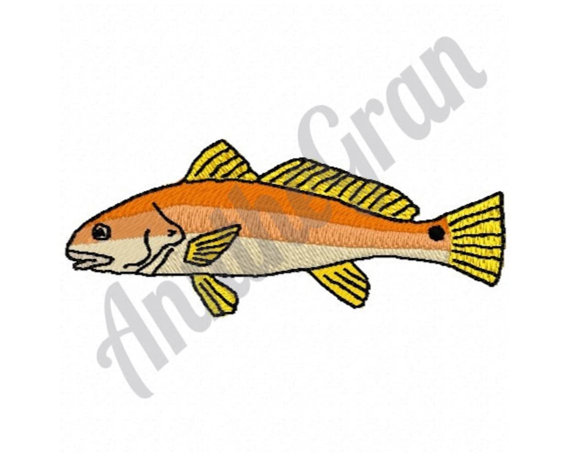 Redfish Embroidery Design. Machine Embroidery Design. Redfish - Etsy