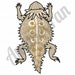 Horned Lizard Embroidery Design. Machine Embroidery Design. Lizard ...