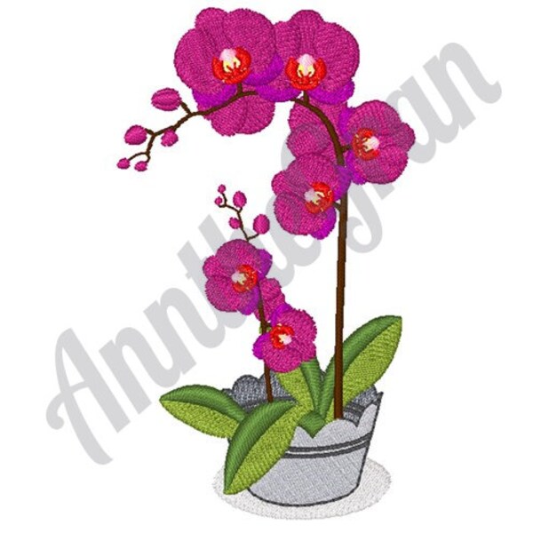 Orchid Pattern - Etsy