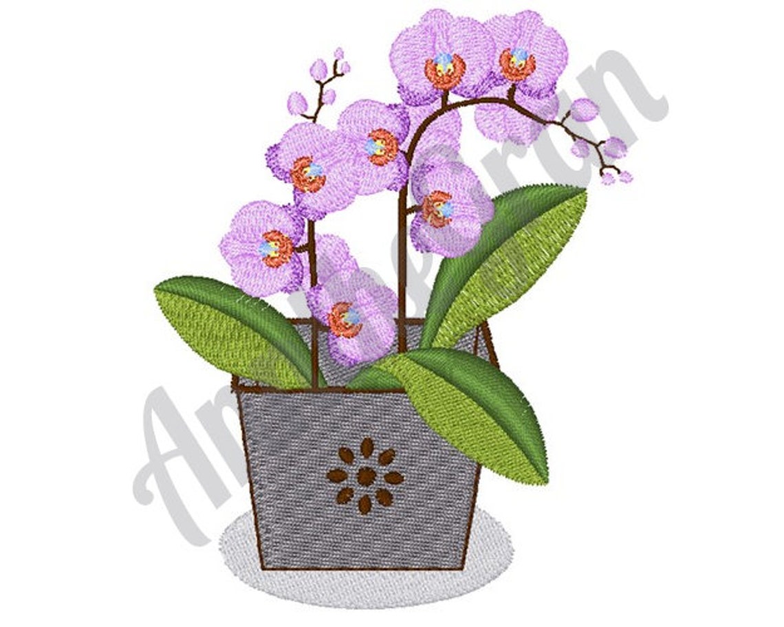 Potted Orchid Embroidery Design. Machine Embroidery Design. - Etsy