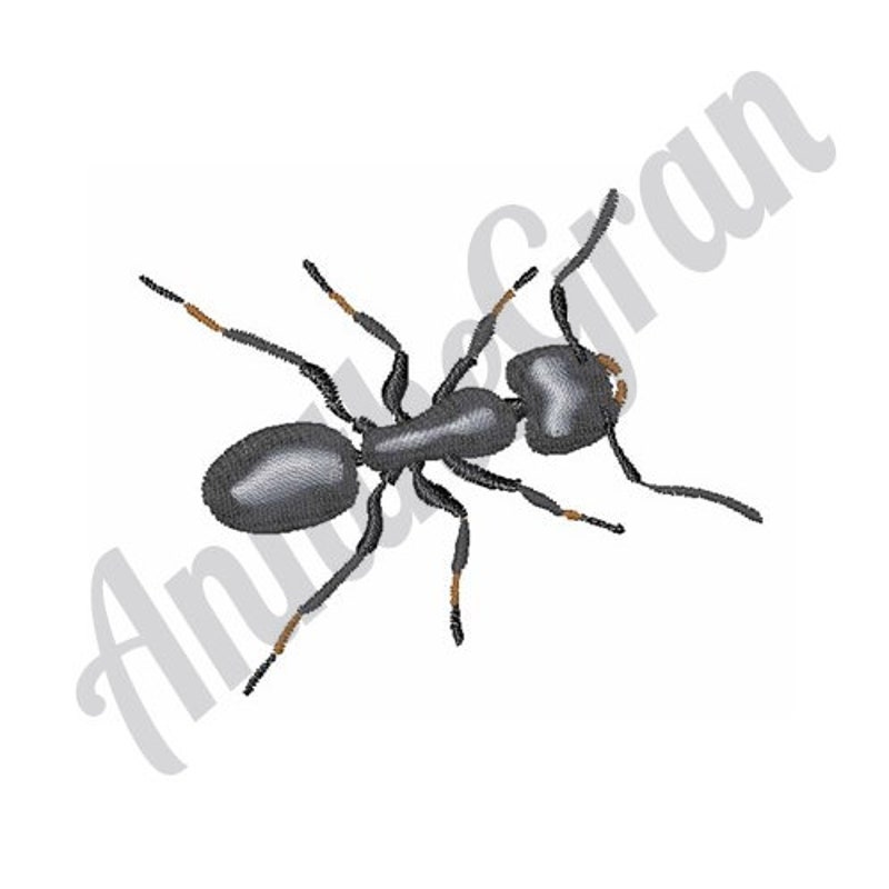 Ant Embroidery - Etsy