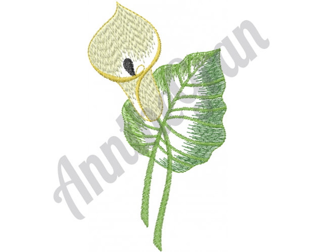 Calla Lily Machine Embroidery Design. White Lily Embroidery Pattern ...