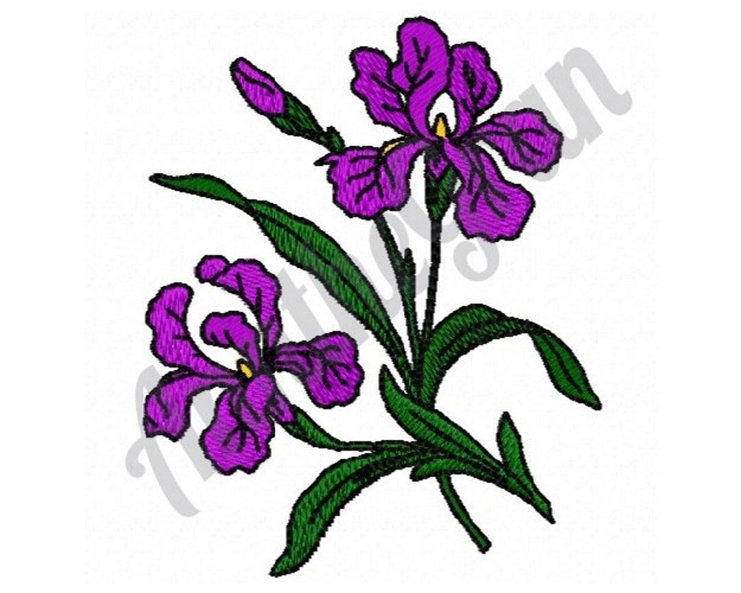 Iris Flower Embroidery Design. Machine Embroidery Design. Iris ...