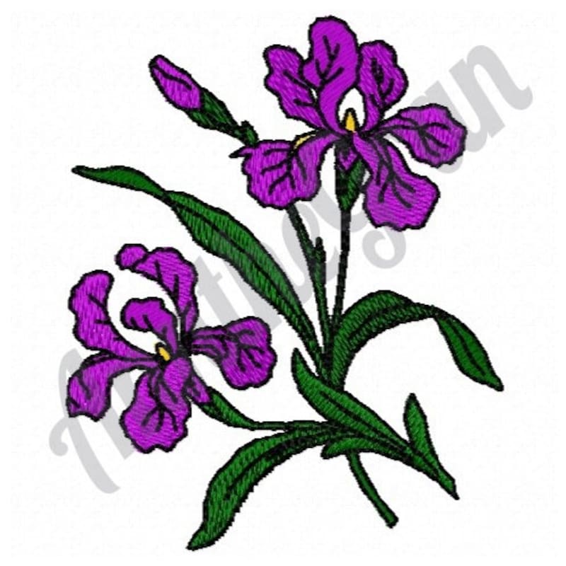 Iris Embroidery - Etsy