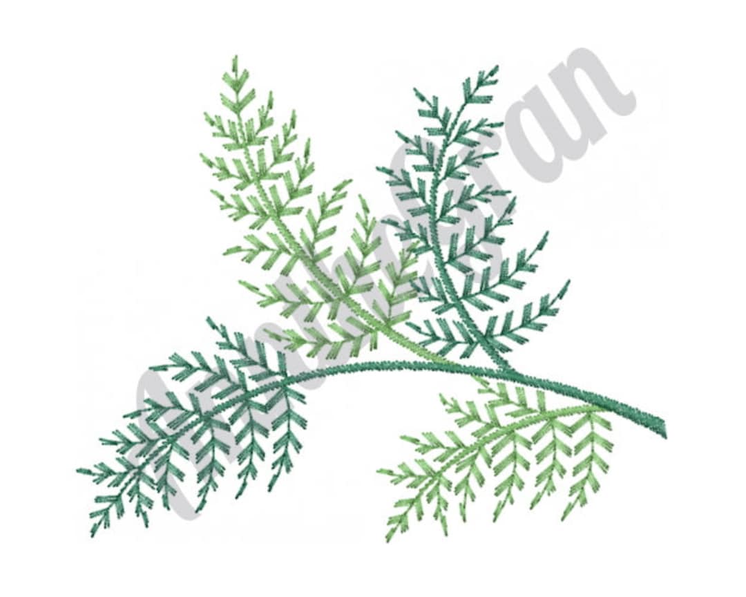 Fern Leaves - Machine Embroidery Design, Forest Fern Embroidery Pattern ...