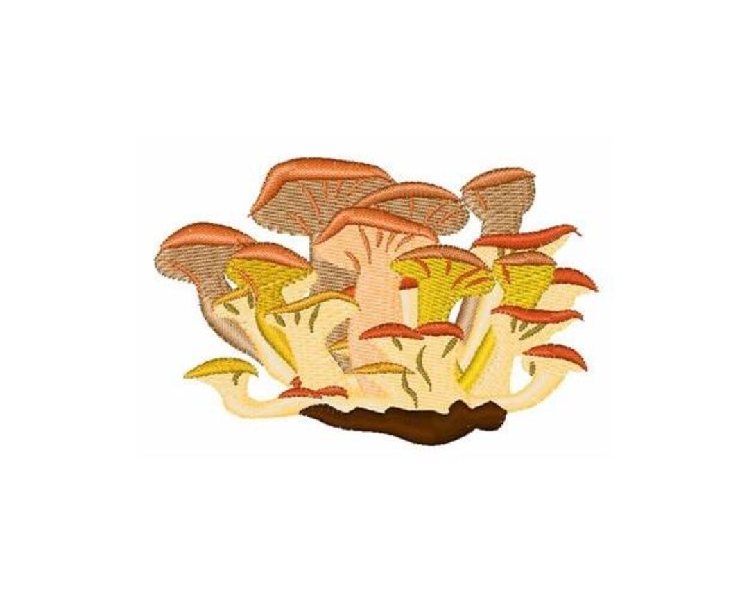 Chanterelles - Machine Embroidery Design - Etsy