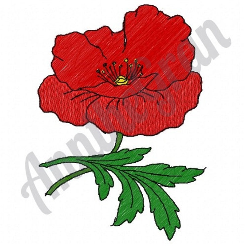 Poppy Embroidery Pattern - Etsy