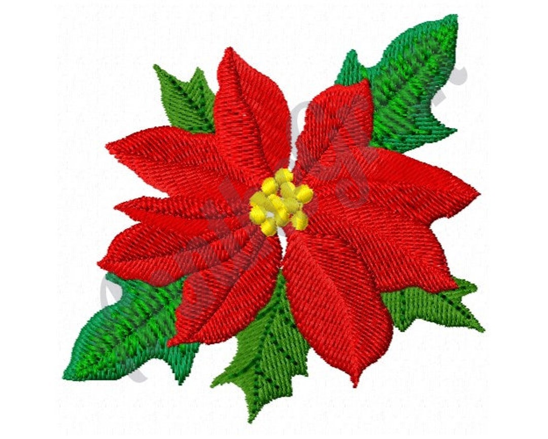 Christmas Poinsettia Embroidery Design. Machine Embroidery Design ...