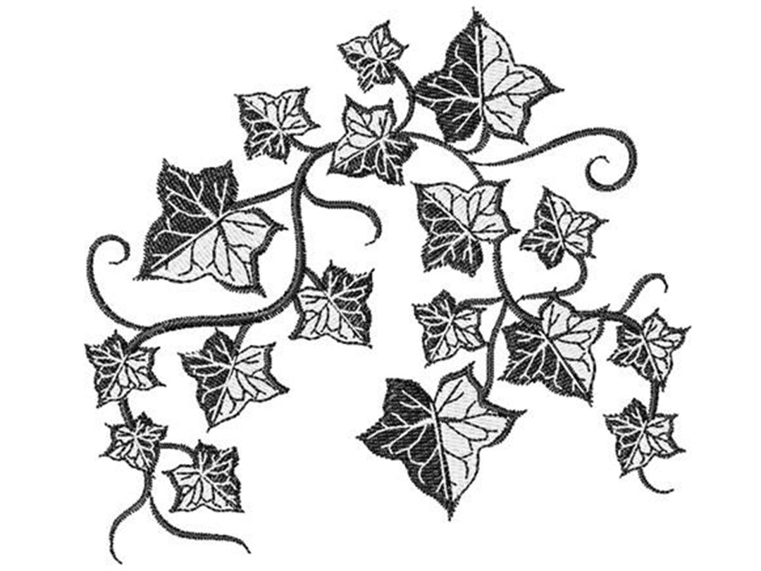 Black Ivy Vines - Machine Embroidery Design, Ivy Leaves Embroidery ...
