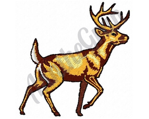 Disegno Di Cervo Dalla Coda Bianca 420 Cervo Dalla Coda Bianca