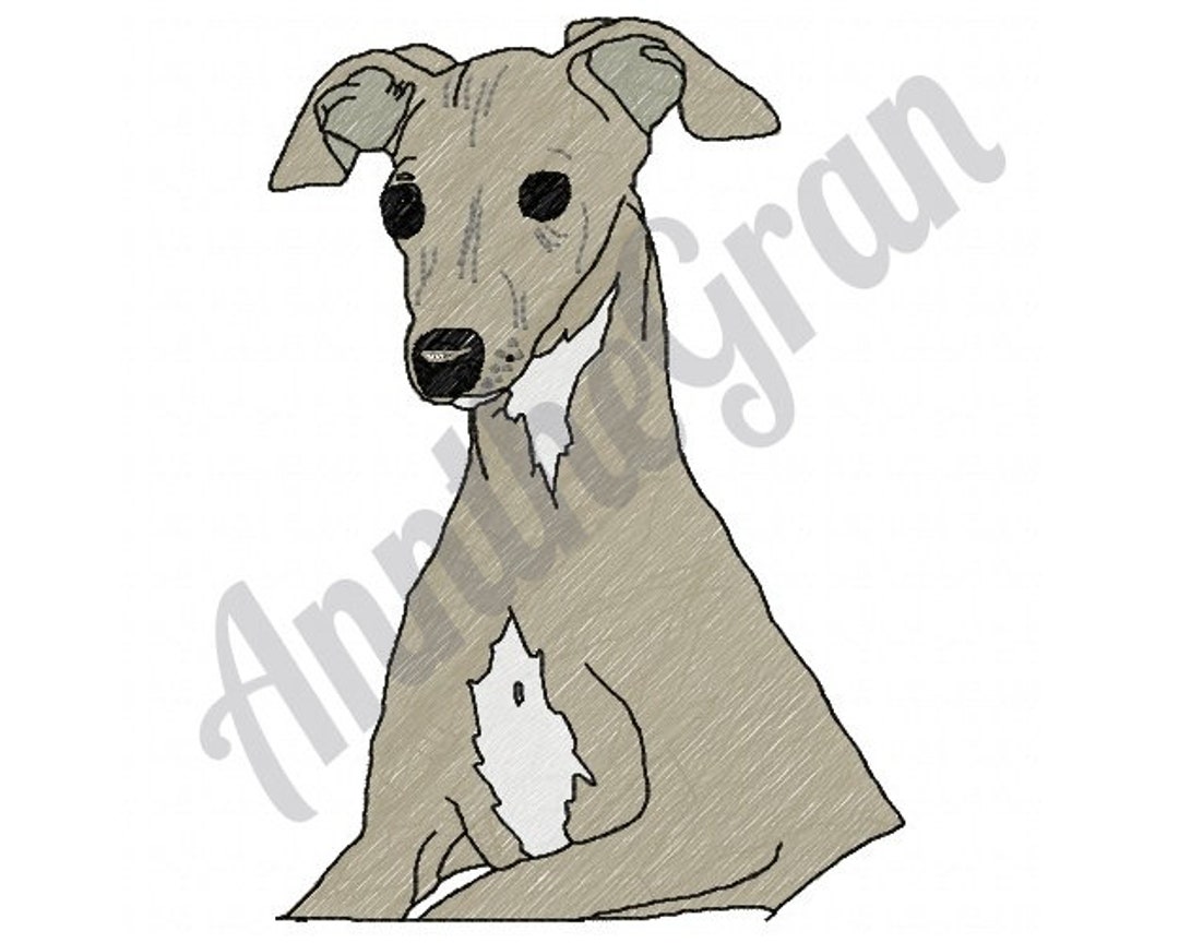 Italian Greyhound Embroidery Design. Machine Embroidery Design. Dog ...
