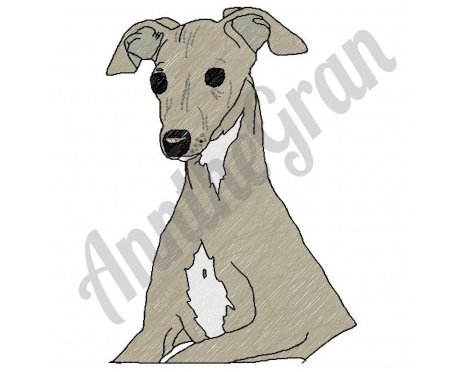 Italian Greyhound Embroidery Design. Machine Embroidery - Etsy