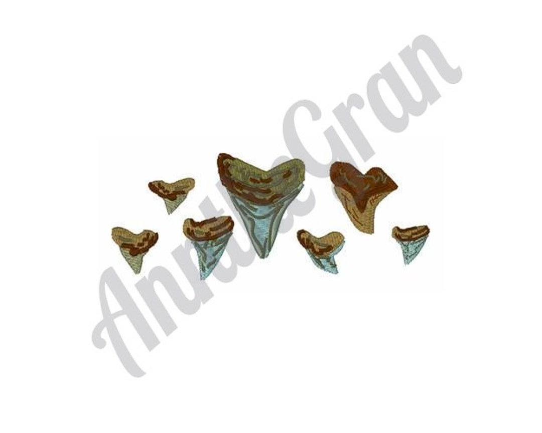 Fossil Shark Teeth Machine Embroidery Design, Shark Teeth Embroidery ...