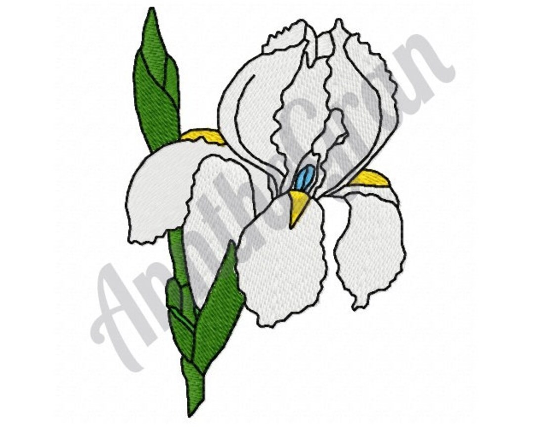 White Iris Embroidery Design. Machine Embroidery Design. Iris Pattern ...