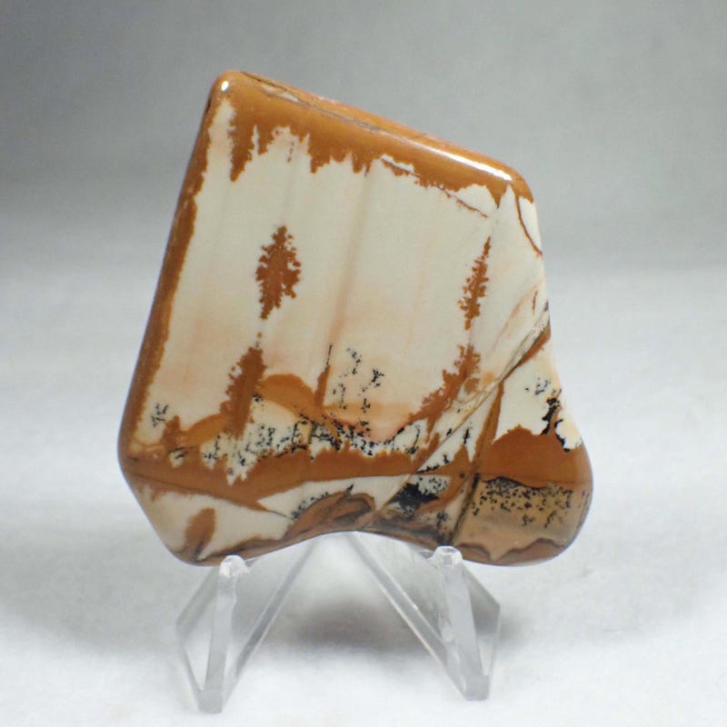 Owyhee Picture Jasper - Etsy