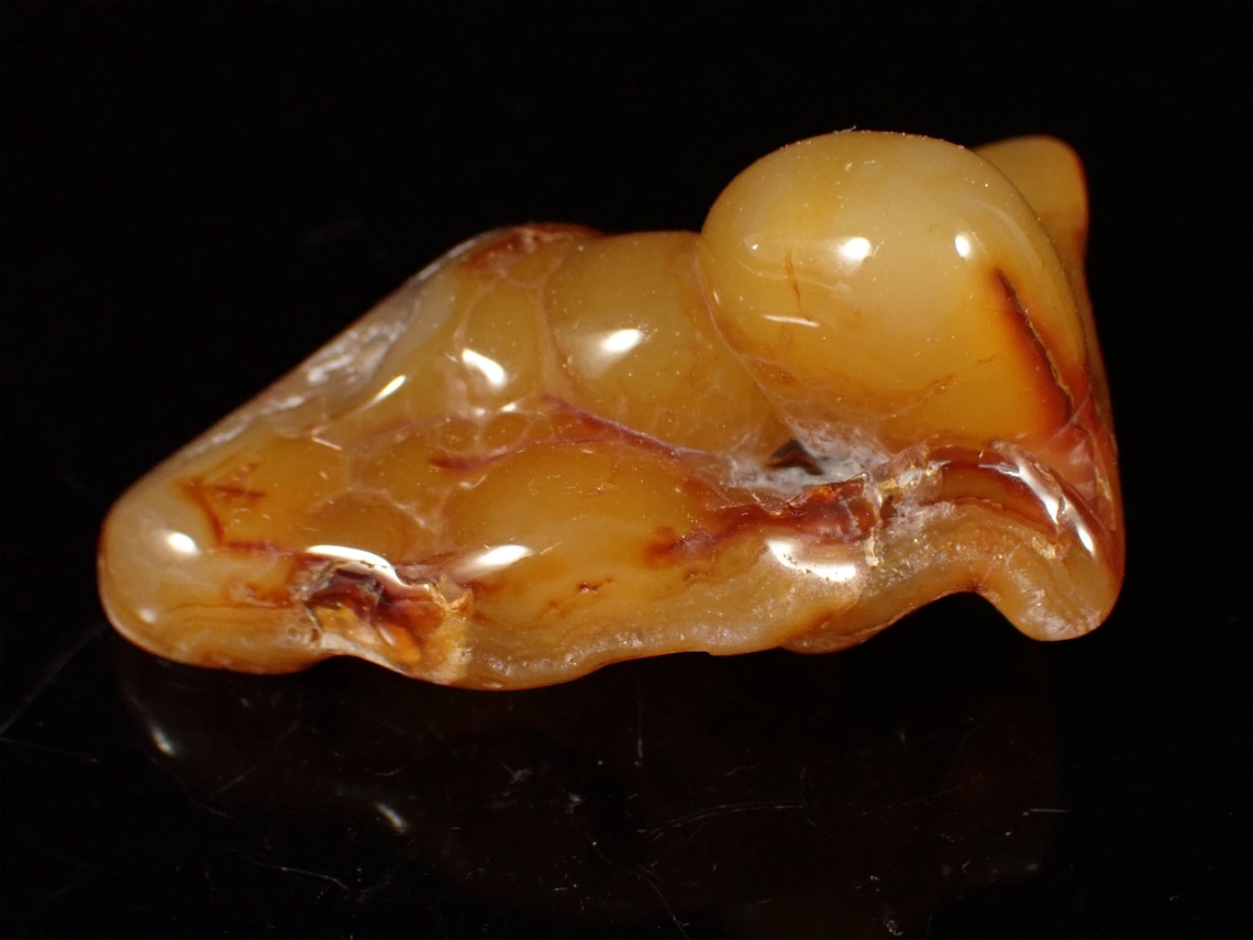 Polished Agatized Coral From Florida. Chalcedony. - Etsy