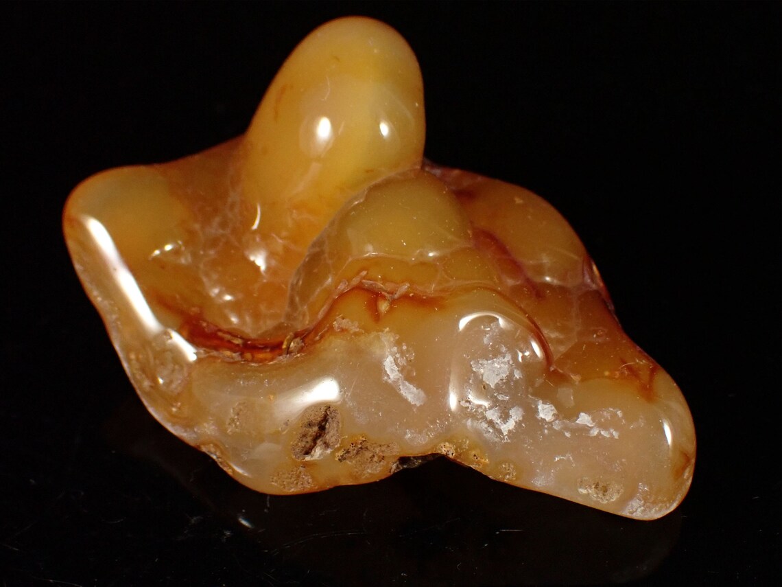 Polished Agatized Coral From Florida. Chalcedony. - Etsy