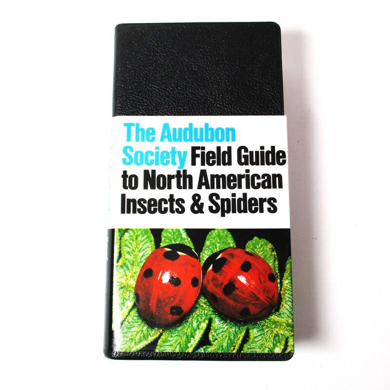 Audubon Plants - Etsy